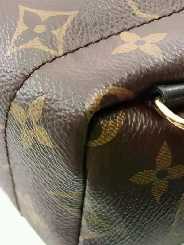LOUIS VUITTON 2021 Mini Palm Springs Monogram Backpack