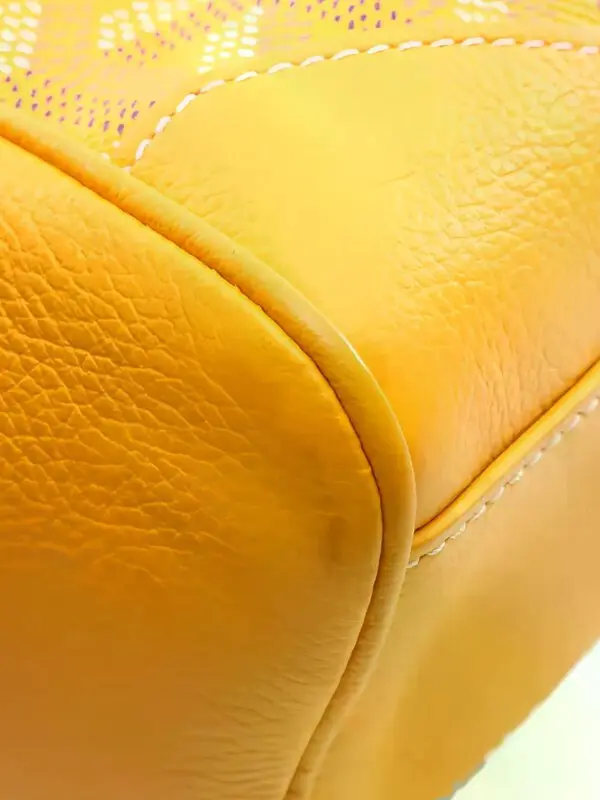 Goyard Mini Saigon Handbag