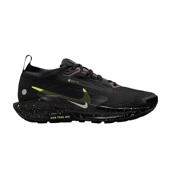 Nike Pegasus Trail Gore-tex Sneakers