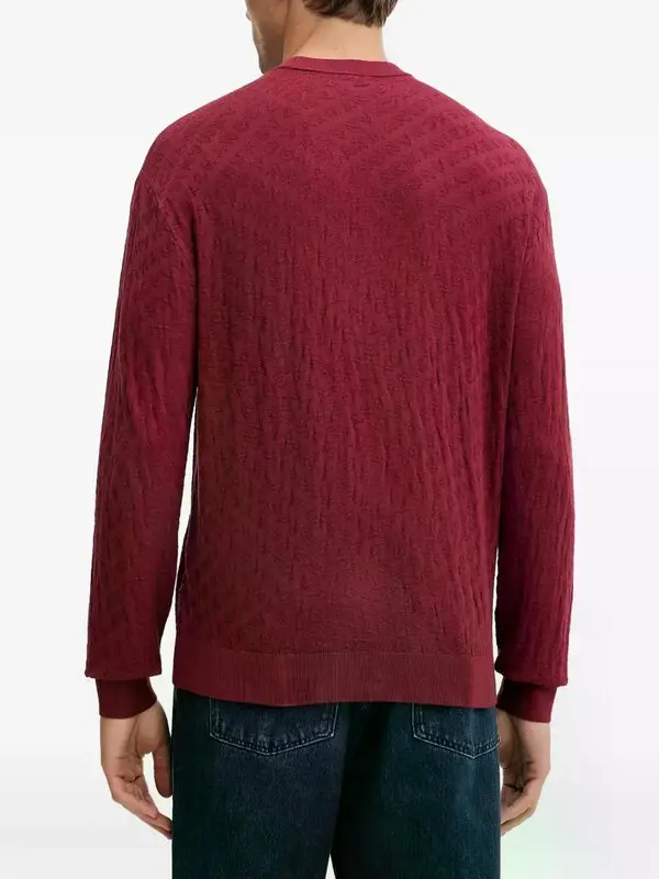 Armani Exchange Crew Neck Long Sleeve Sweater