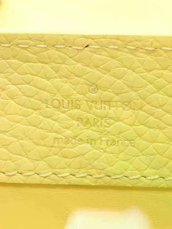 LOUIS VUITTON 2021 Mini Capucines Handbag
