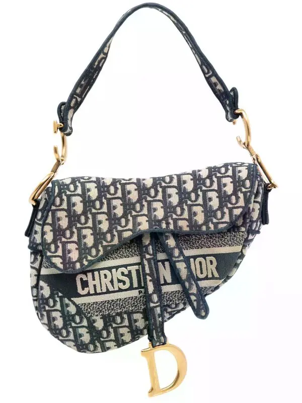 Dior 2022 Oblique Embroidered Canvas Saddle Bag