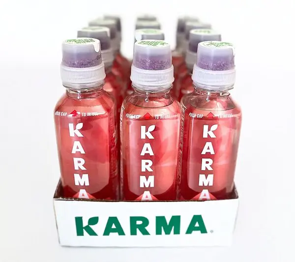 KARMA ORGANIC Karma 2 Billion Probiotics 12 Pack Ready To Drink Water - One-color