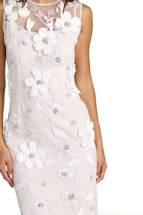 Mac Duggal Sleeveless Embellished Lace Column Gown