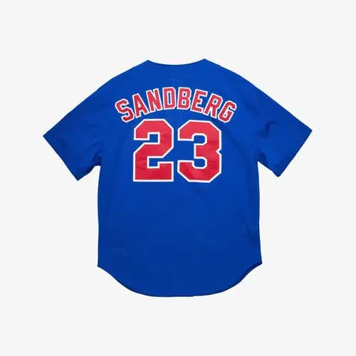 Mitchell & Ness Ryne Sandberg Chicago Cubs 1997 Cooperstown Collection Mesh Button-up Jersey