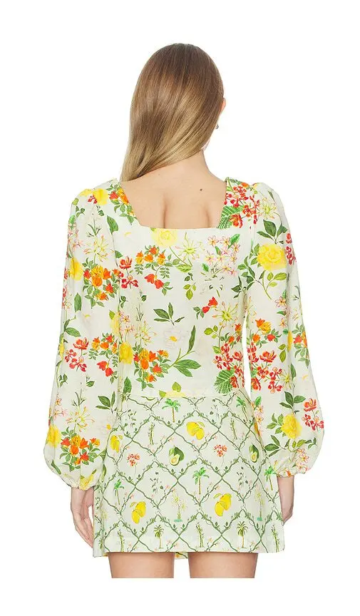 Verandah Square Neck Crop Blouse