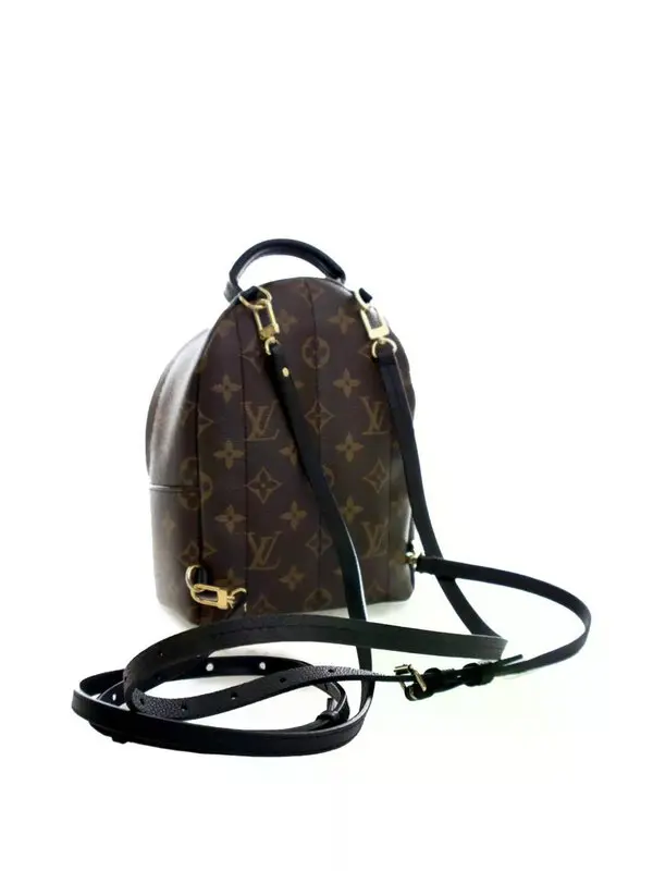 LOUIS VUITTON 2020 Monogram Mini Palm Springs Backpack