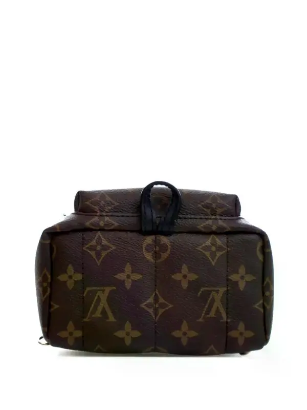 LOUIS VUITTON 2020 Monogram Mini Palm Springs Backpack