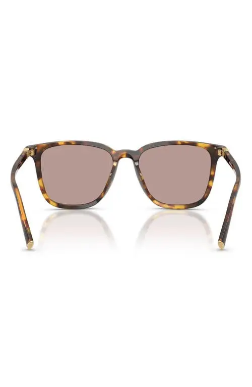 Miu Miu 53mm Square Frame Sunglasses - Honey Havana/light Purple