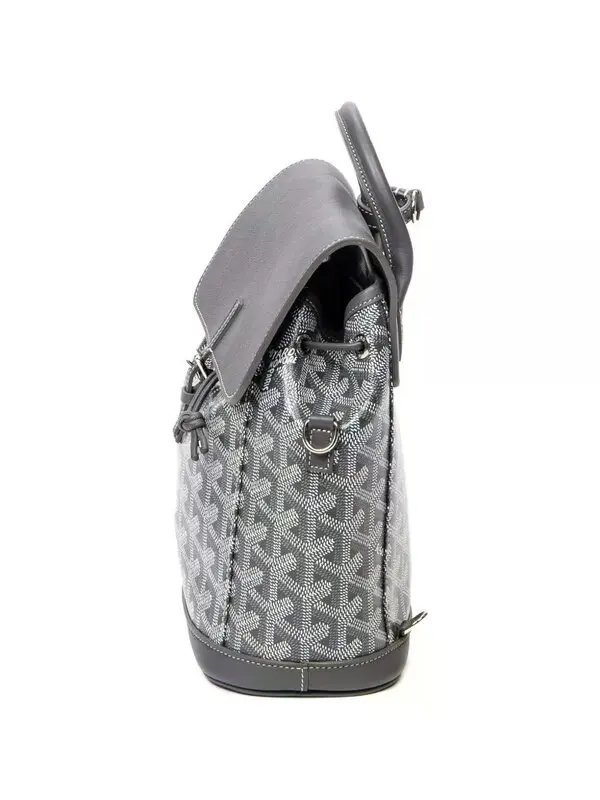 Goyard Mini Alpin Backpack - Grey