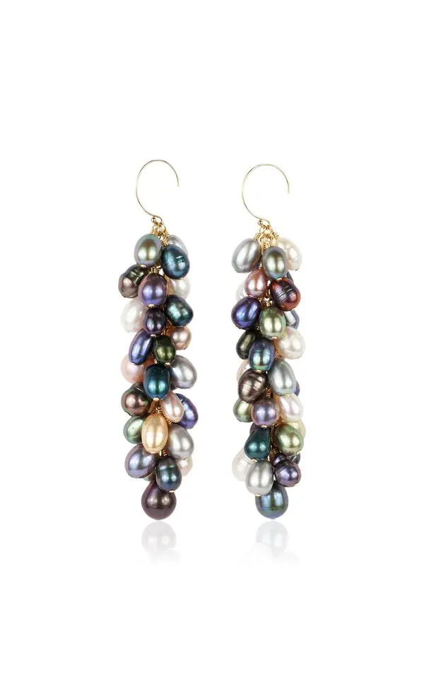 PRESLEY OLDHAM Compost Drop Earrings - Multi