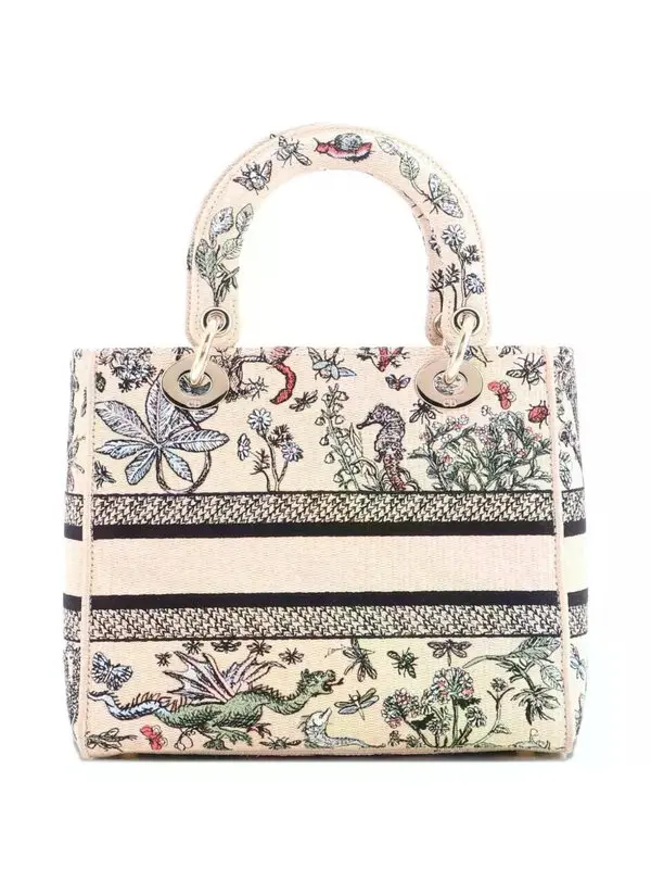 Dior Lady D-lite Medium Satchel - Neutrals
