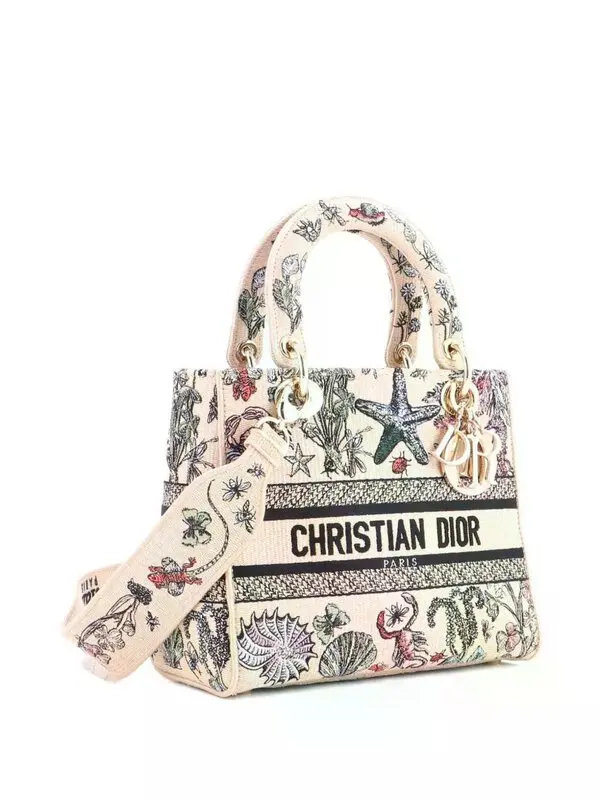 Dior Lady D-lite Medium Satchel - Neutrals