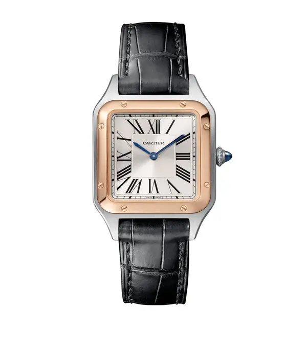 Cartier Santos De Watch - Silver