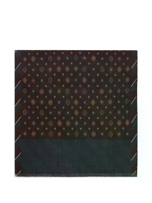 Altea Printed Wool Scarf - Brown