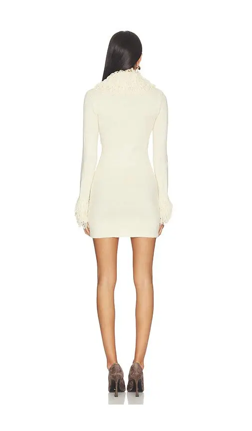 Superdown Eisley Mini Dress