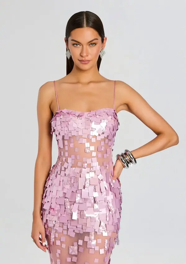 Retrofete Carmin Embellished Tea-length Dress