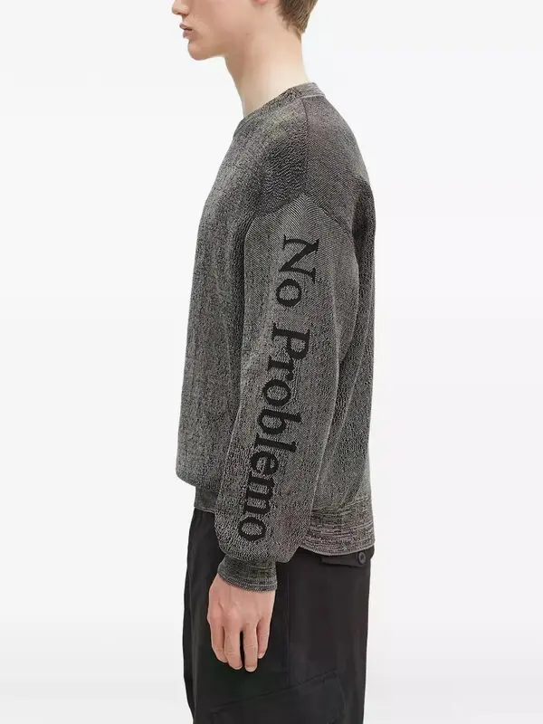 Aries Logo-embellished Sweatshirt - Grey
