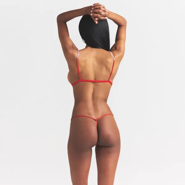 SKIMS Lace Plunge Bralette | Deep Neutral | | Silk - Ruby Contrast