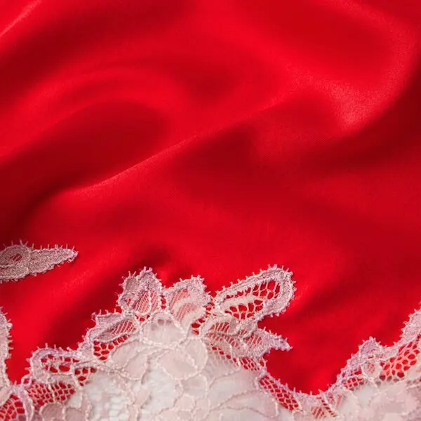 SKIMS Lace Plunge Bralette | Deep Neutral | | Silk - Ruby Contrast