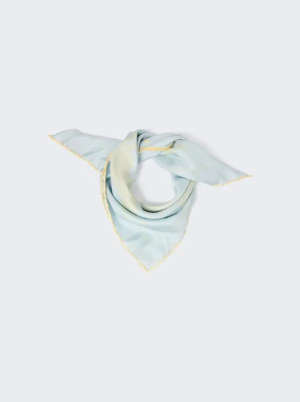 Jacquemus Printed Silk Scarf And Yellow - Blue
