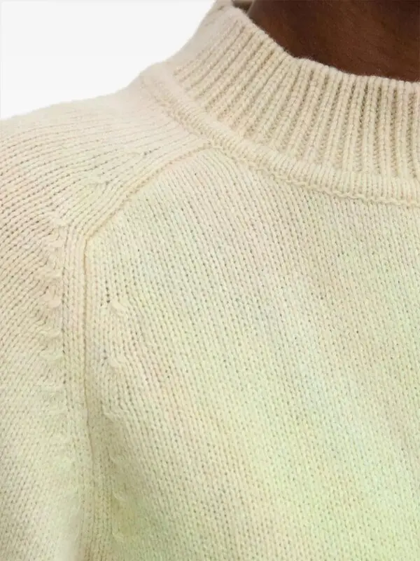 SESSUN Raglan-sleeve Roll-neck Sweater