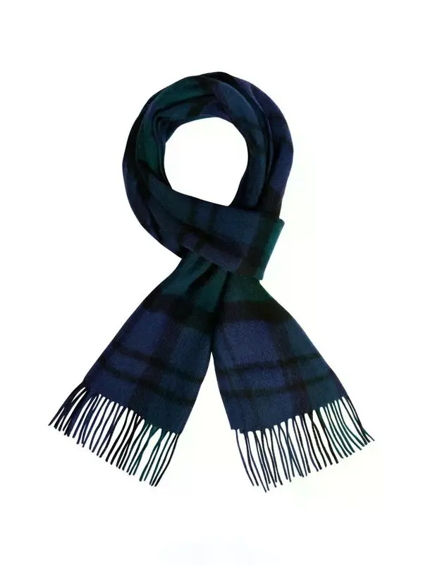 FURSAC Plaid Fringed Scarf - Blue