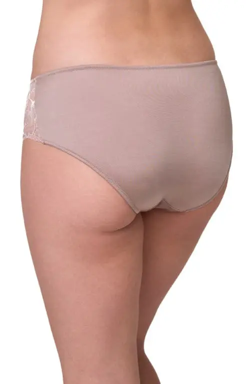 MONTELLE INTIMATES Floral Lace & Microfiber Hipster Briefs