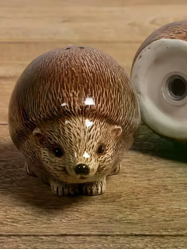 CU I SEEYOU Hedgehog Salt & Pepper Set