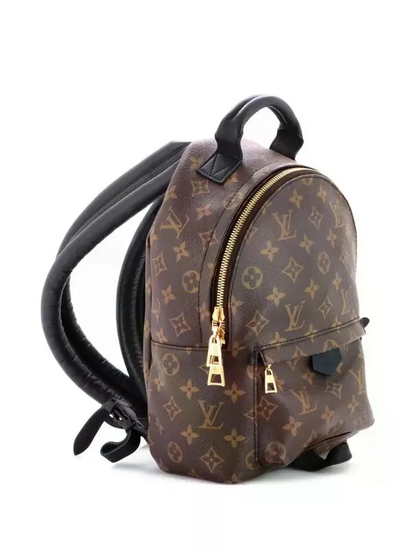 LOUIS VUITTON Palm Springs Monogram Canvas Pm Backpack