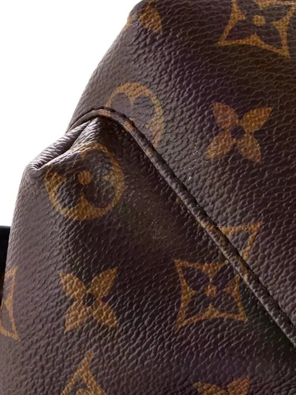 LOUIS VUITTON Palm Springs Monogram Canvas Pm Backpack