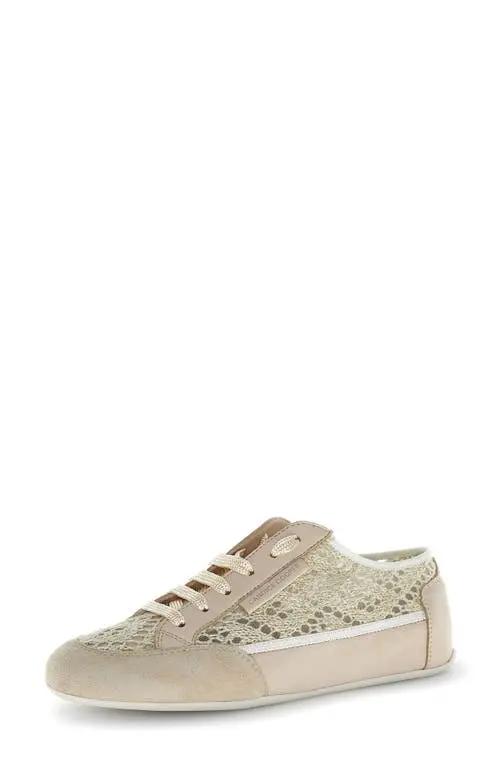 CANDICE COOPER Lace-up Sneaker - Desert Beige