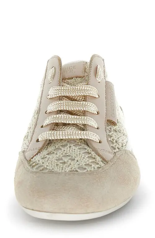 CANDICE COOPER Lace-up Sneaker - Desert Beige