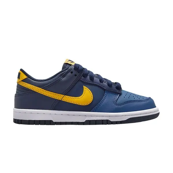 Nike Dunk Low Gs Sneakers