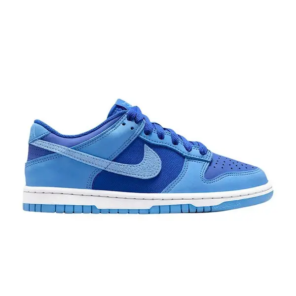 Nike Dunk Low Se Gs Sneakers - Blue