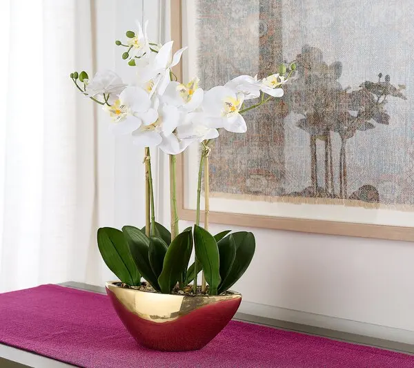VALERIE PARR HILL Shwk 3/9 24' Orchid In Slim Metallic Pot Valerie - One-color