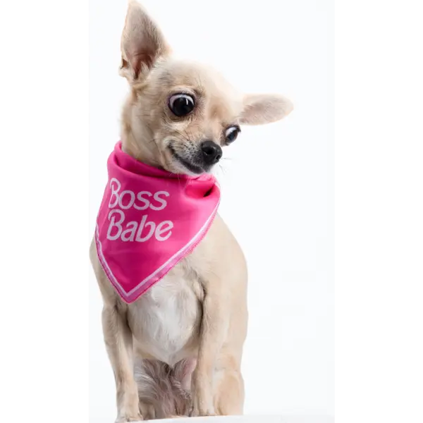 MOSHIQA Boss Babe Dog Bandana - Pink