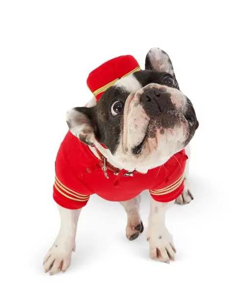 MOSHIQA Empire Dog Sweatshirt