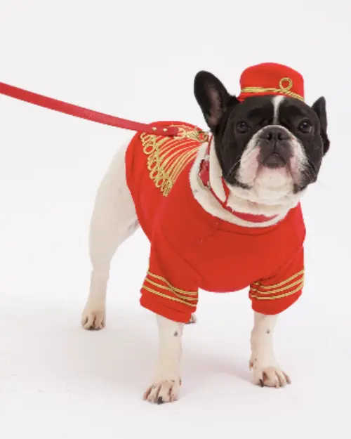 MOSHIQA Empire Dog Sweatshirt
