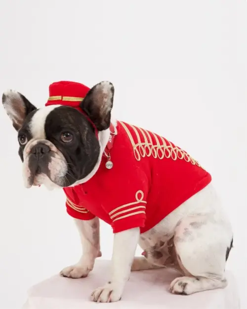 MOSHIQA Empire Dog Sweatshirt