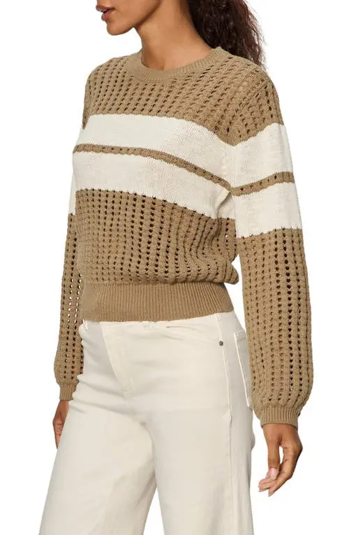 Sanctuary Open Stitch Cotton Crewneck Sweater - Covert Green