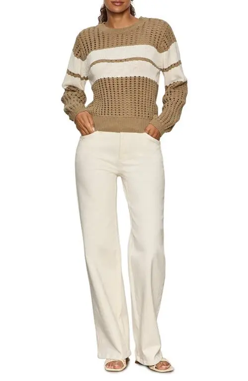 Sanctuary Open Stitch Cotton Crewneck Sweater - Covert Green
