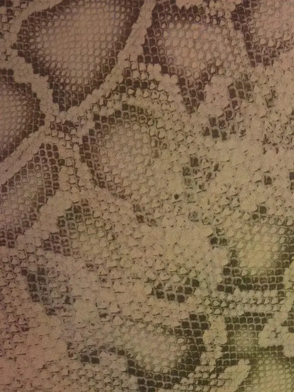 Andamane Python Print Column Dress