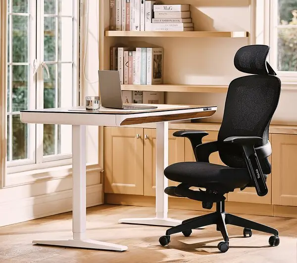 TOPJOB Aura Ergonomic Chair