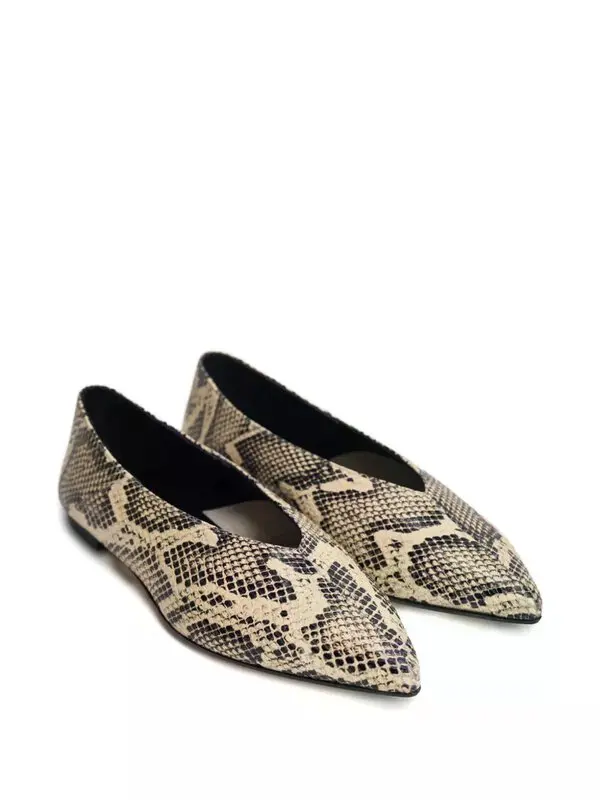 AeydĒ Printed Pointed Toe Flats