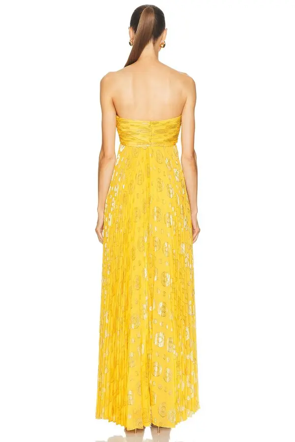 Alexis Soleil Maxi Dress