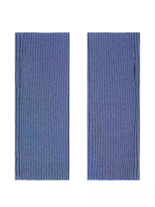 Eric Bompard Ribbed Thumb Mittens - Blue