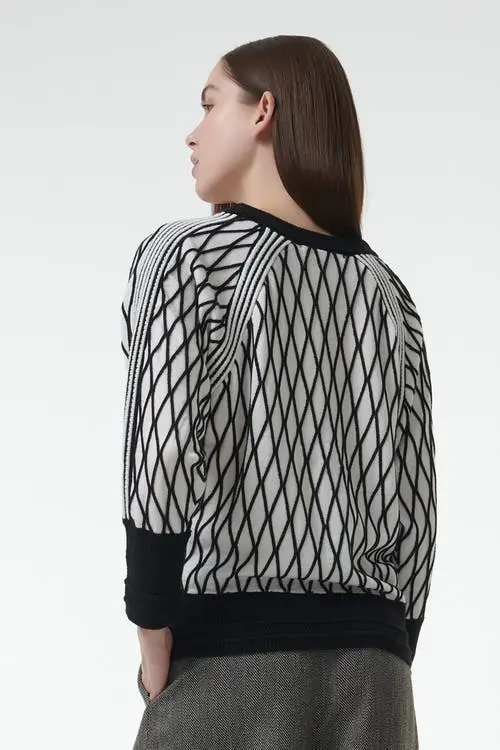 LEEM Argyle Mesh Textured Knitted Sweater