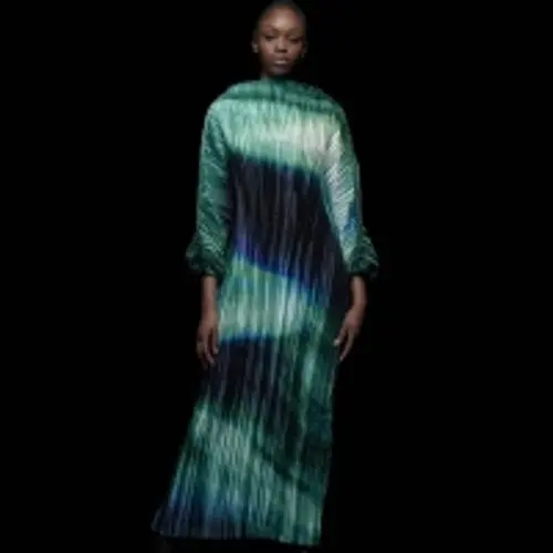 LEEM Printed Plisse Batwing Maxi Dress