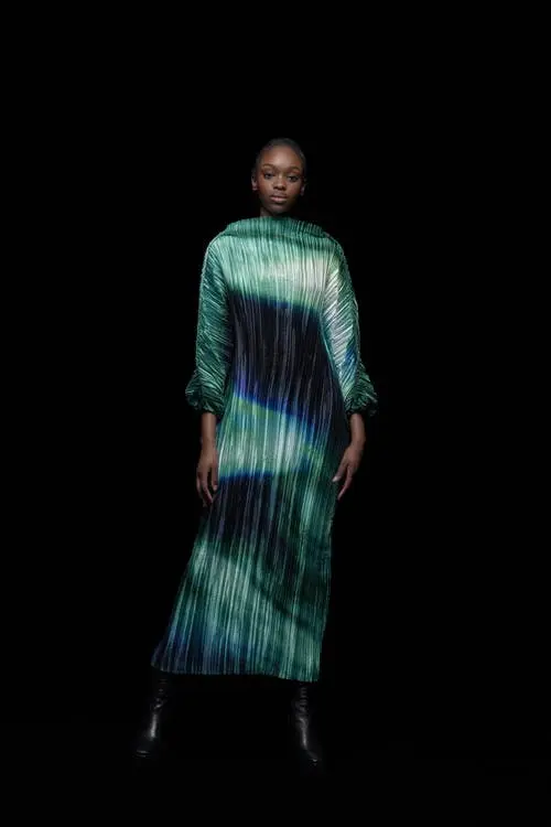LEEM Printed Plisse Batwing Maxi Dress